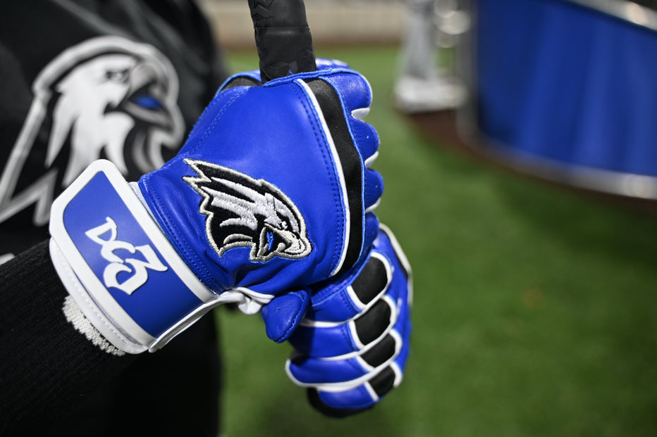 Batting Gloves – DC3Sports